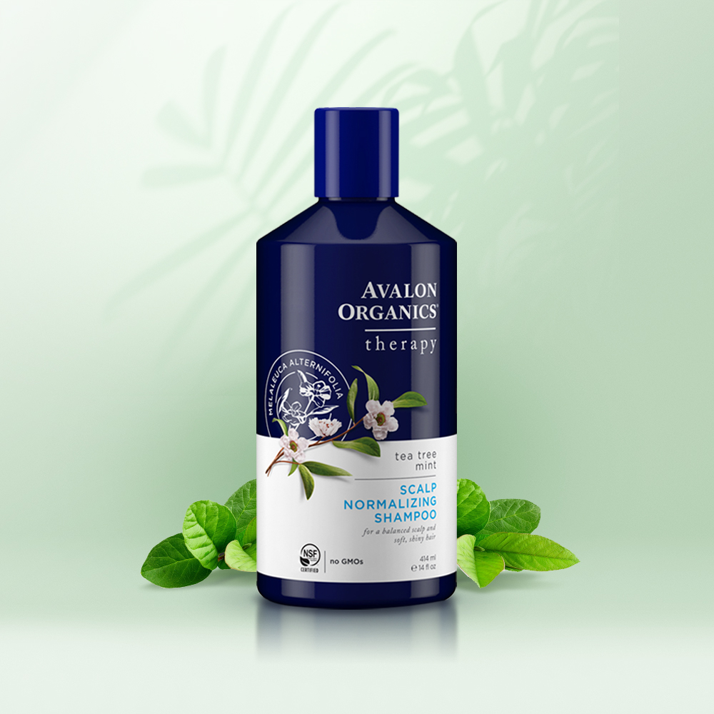 AVALON ORGANICS tea tree mint SCALP NORMALIZING SHAMPOO | Hwahae Global
