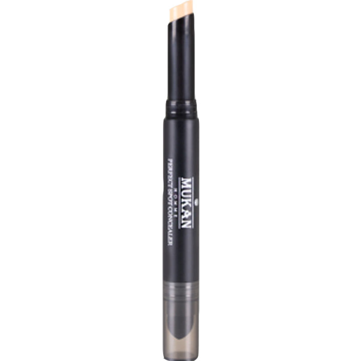 MUKAN Homme Perfect Spot Concealer | Hwahae Global