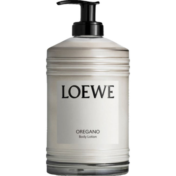 LOEWE Oregano Body Lotion | Hwahae