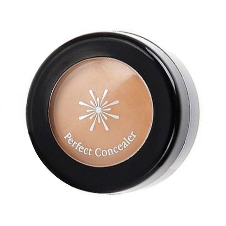 MISSHA The Style Perfect Concealer [Natural Beige] | Hwahae Global